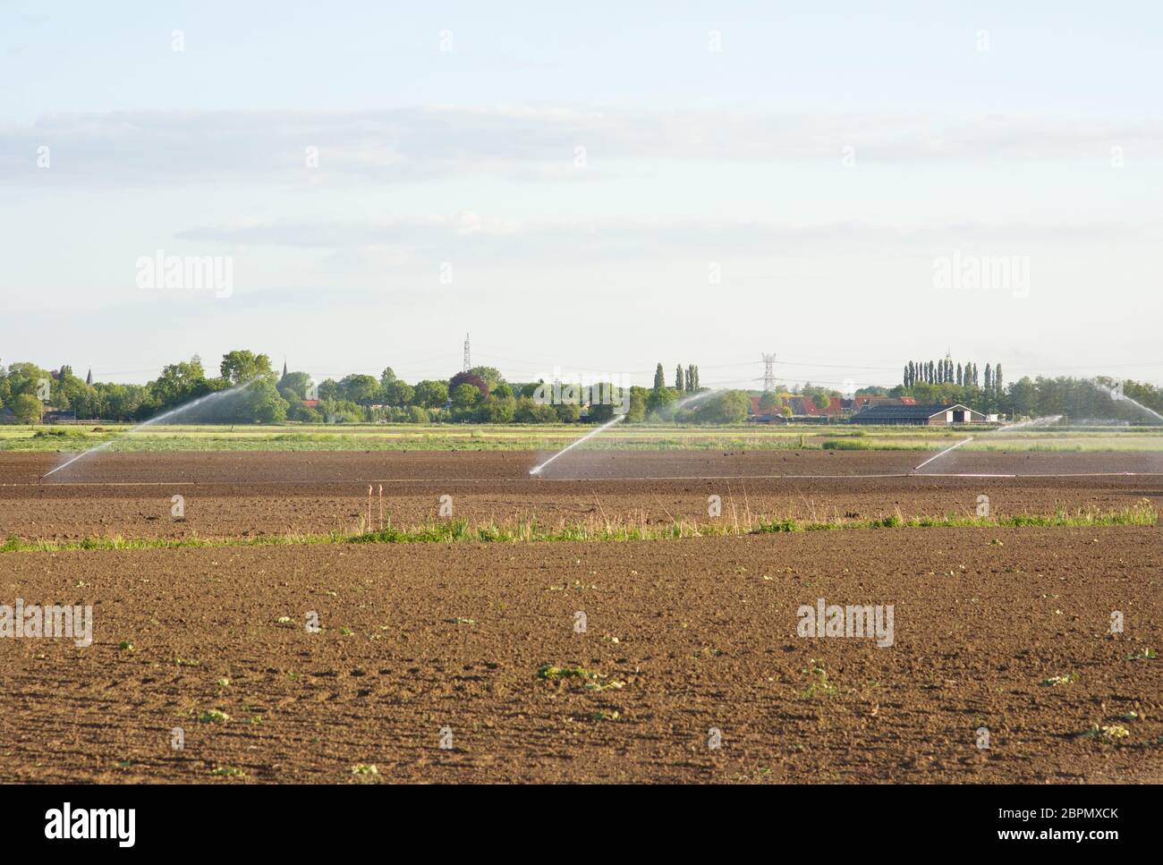 Watering the field with multiple sprinklers Stock Photo - Alamy