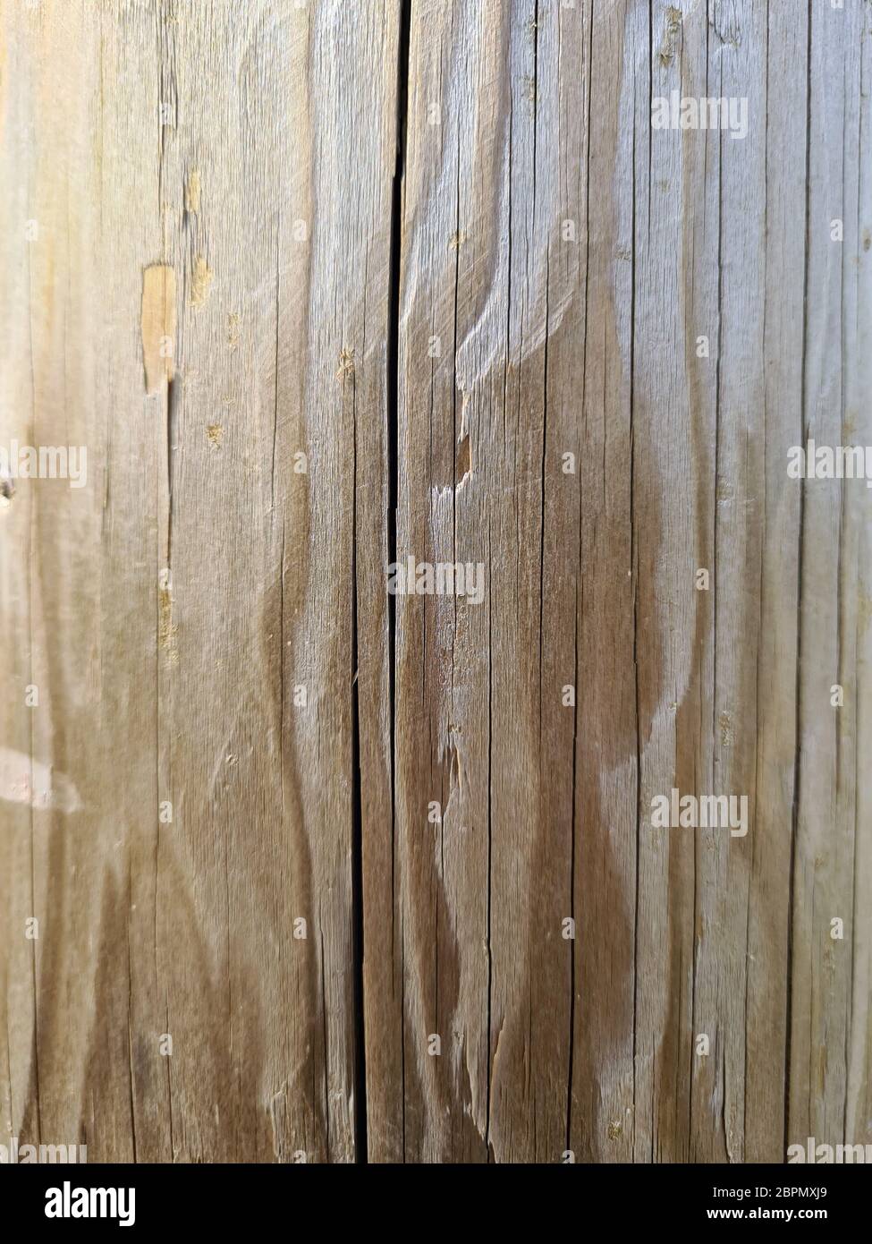 Close up shot of a wood pole Stock Photo - Alamy
