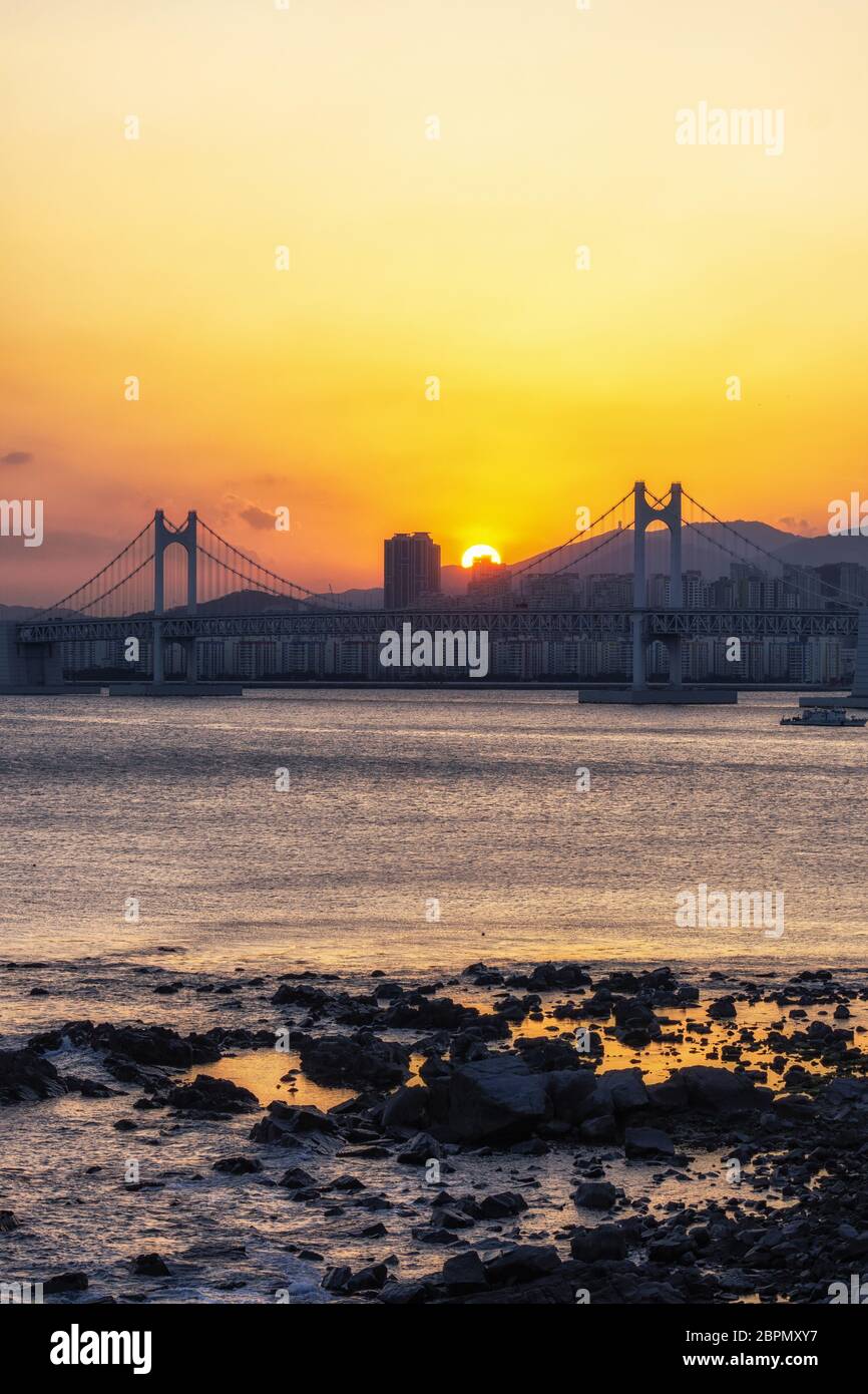 The sunset view over Busan Gwangandaegyo bridge. The famous bridge in ...