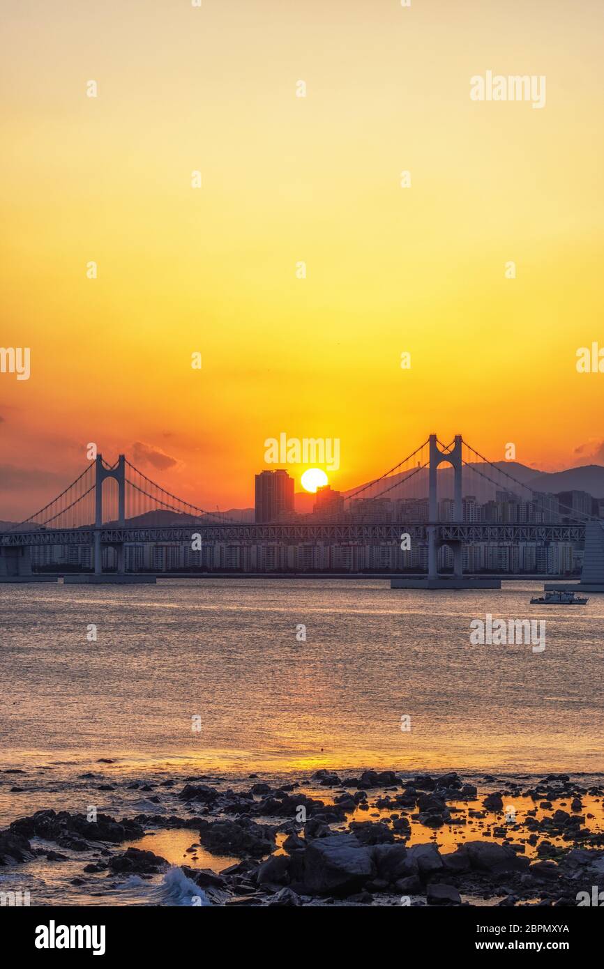 The sunset view over Busan Gwangandaegyo bridge. The famous bridge in ...