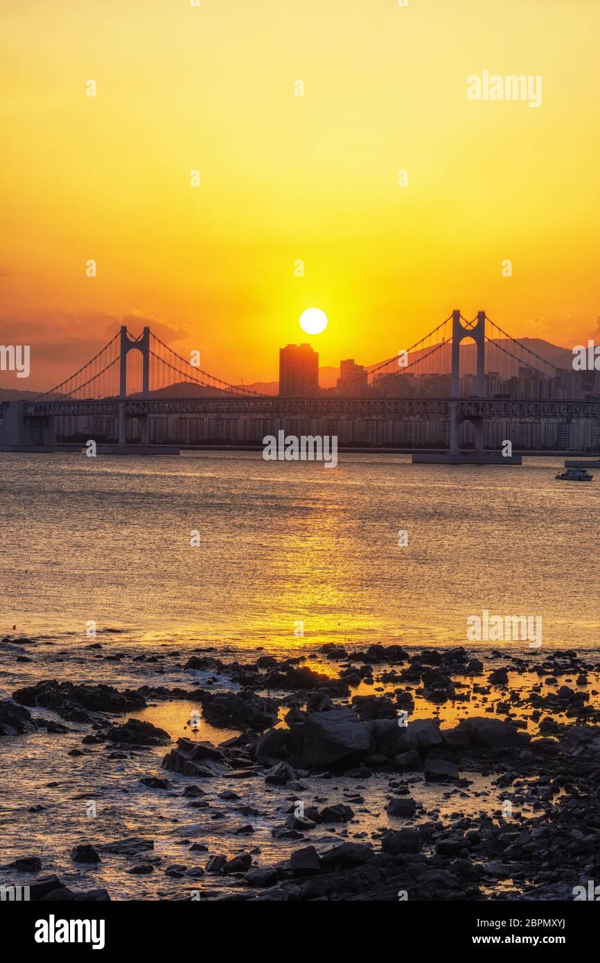 The sunset view over Busan Gwangandaegyo bridge. The famous bridge in ...