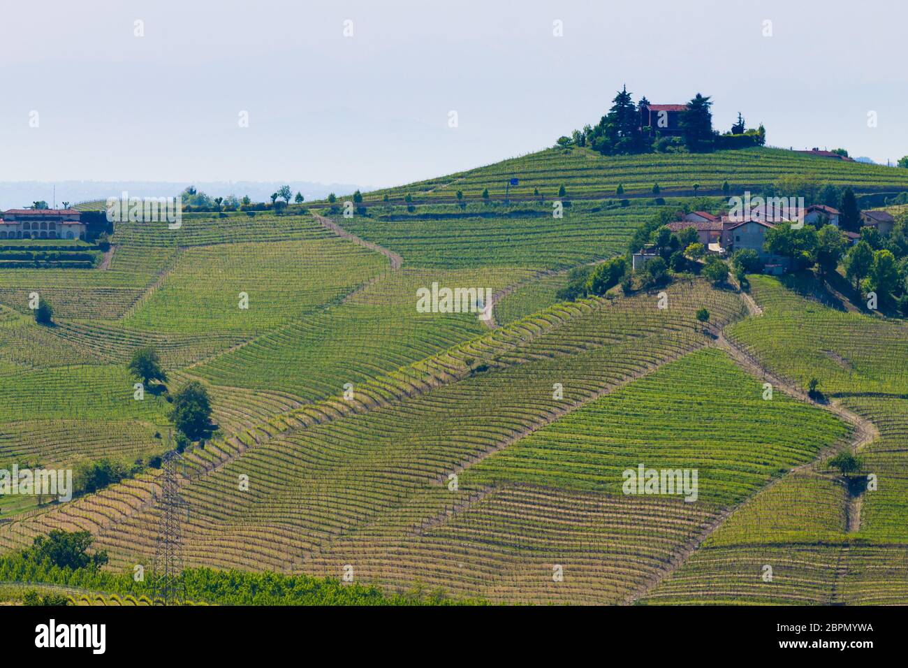 Beautiful Italian landscape. Vineyards from Langhe region,Italy ...
