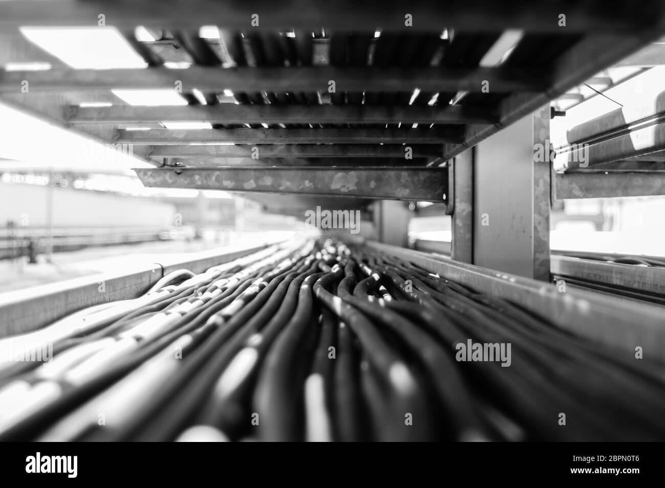 Production wiring.Electrical wiring.Electric wires.Cable wiring ...