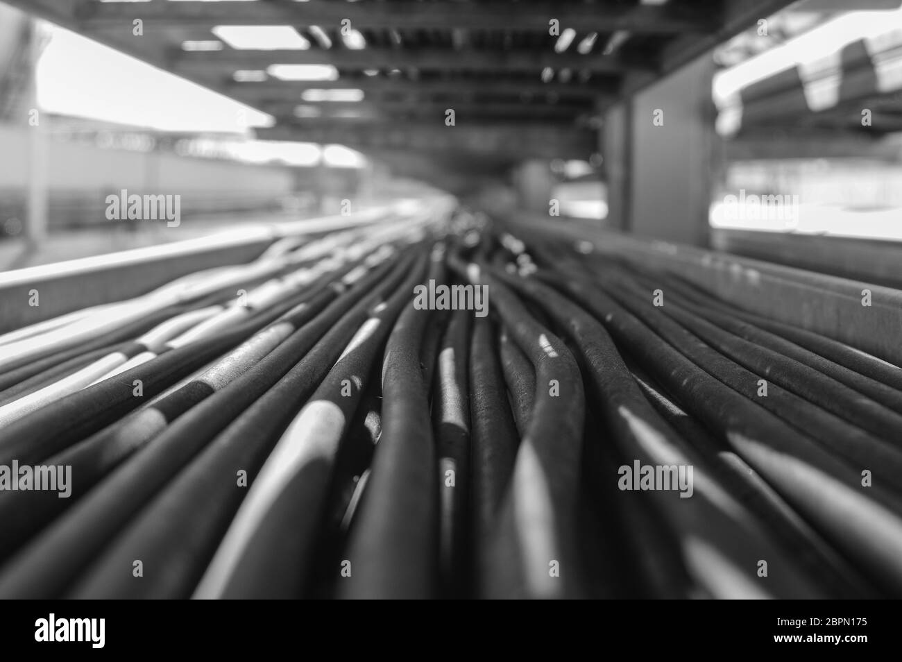 Production wiring.Electrical wiring.Electric wires.Cable wiring ...