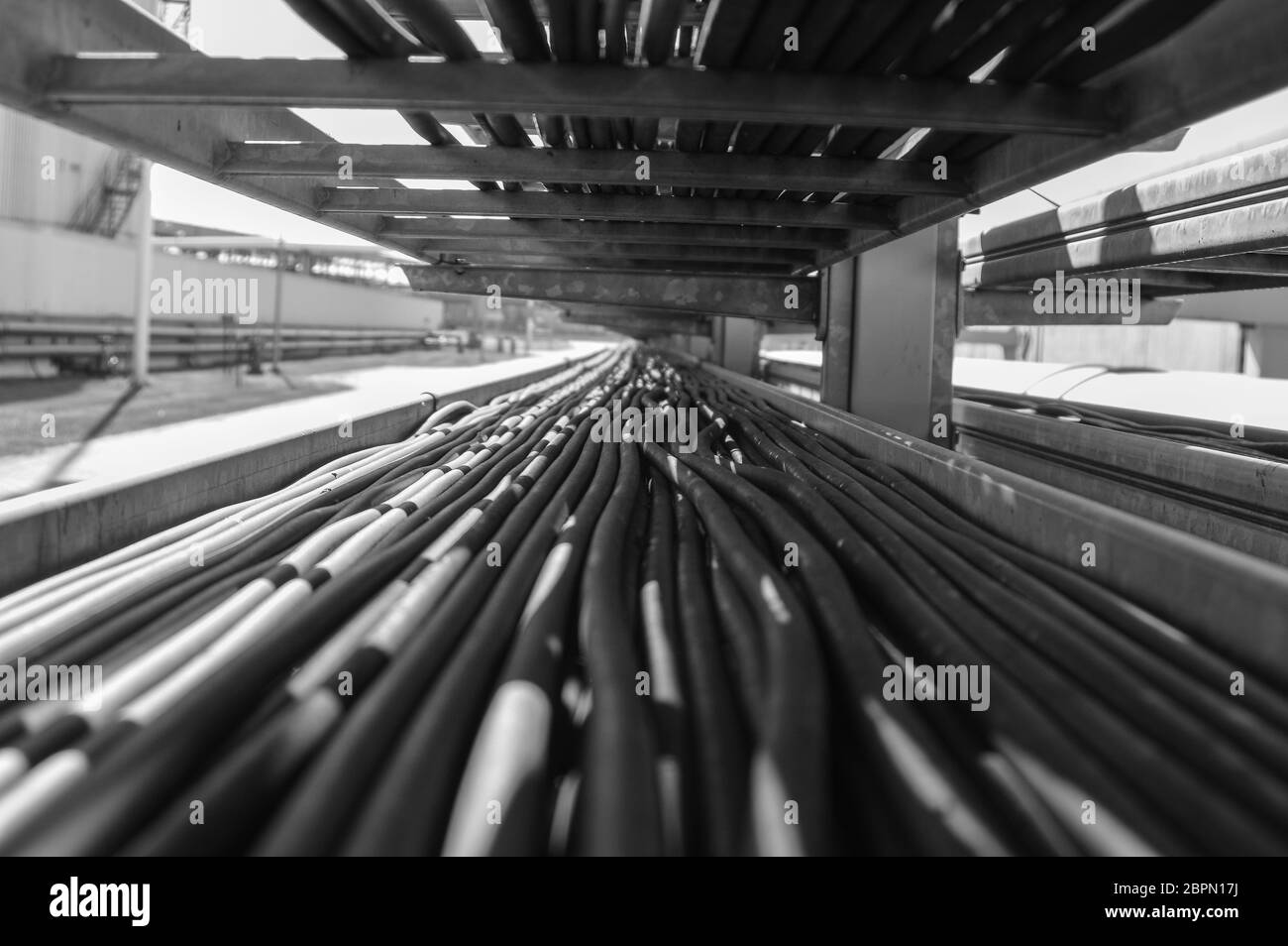 Production wiring.Electrical wiring.Electric wires.Cable wiring ...