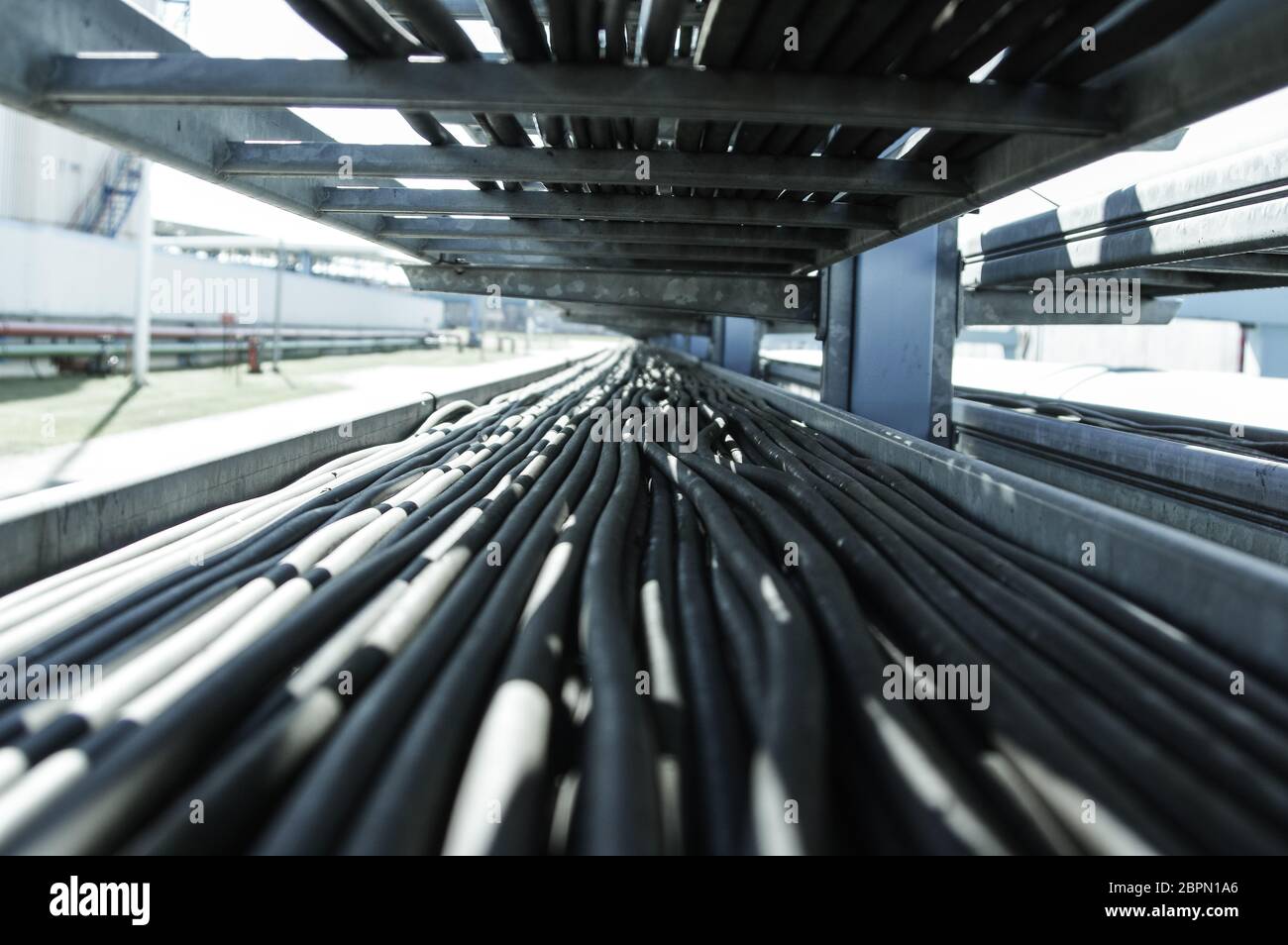 Production wiring.Electrical wiring.Electric wires.Cable wiring ...