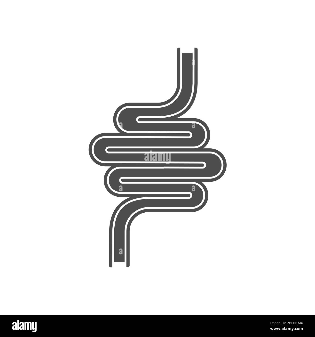 Intestine. Vector design. Stock illustration isolated on a white ...