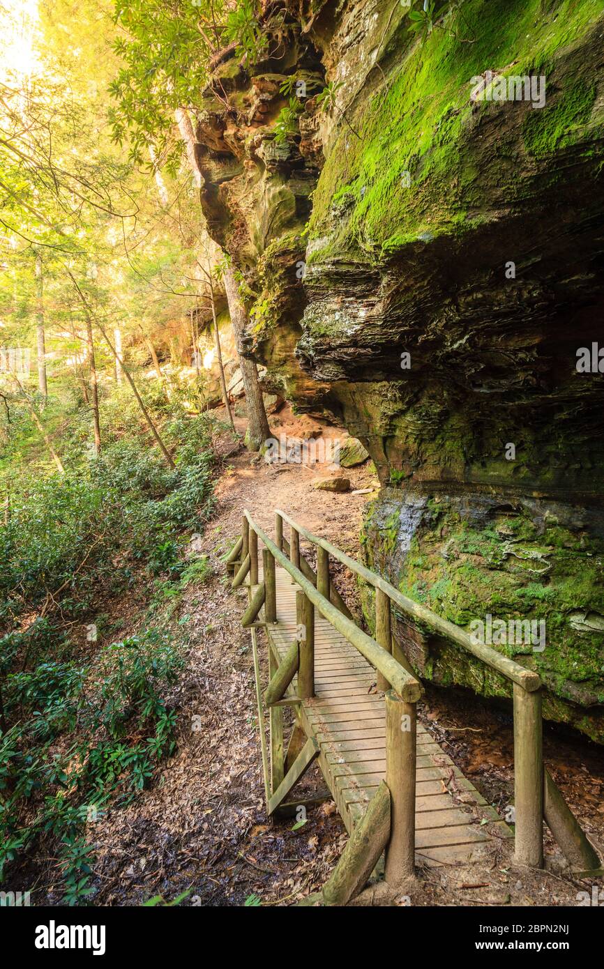 Hiking trail in Natural Bridge State Park in Kentucky Stock Photo - Alamy