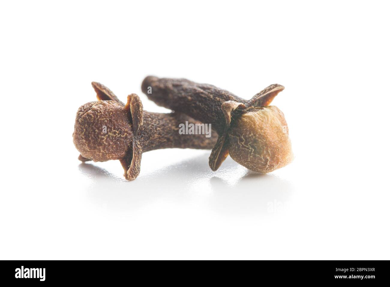 Carnation, dried clove spice isolated on white background Stock Photo ...