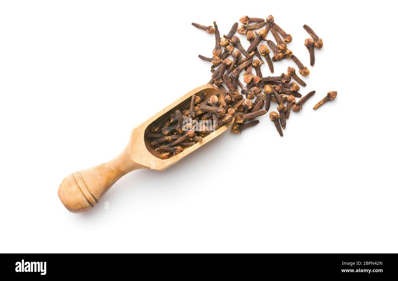 Carnation, dried clove spice in wooden scoop isolated on white ...