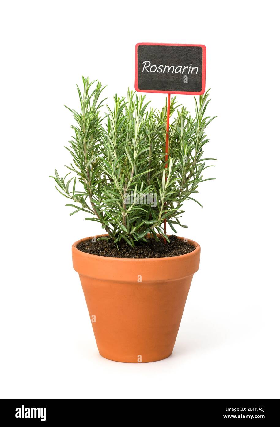 Rosemary label Cut Out Stock Images & Pictures - Alamy