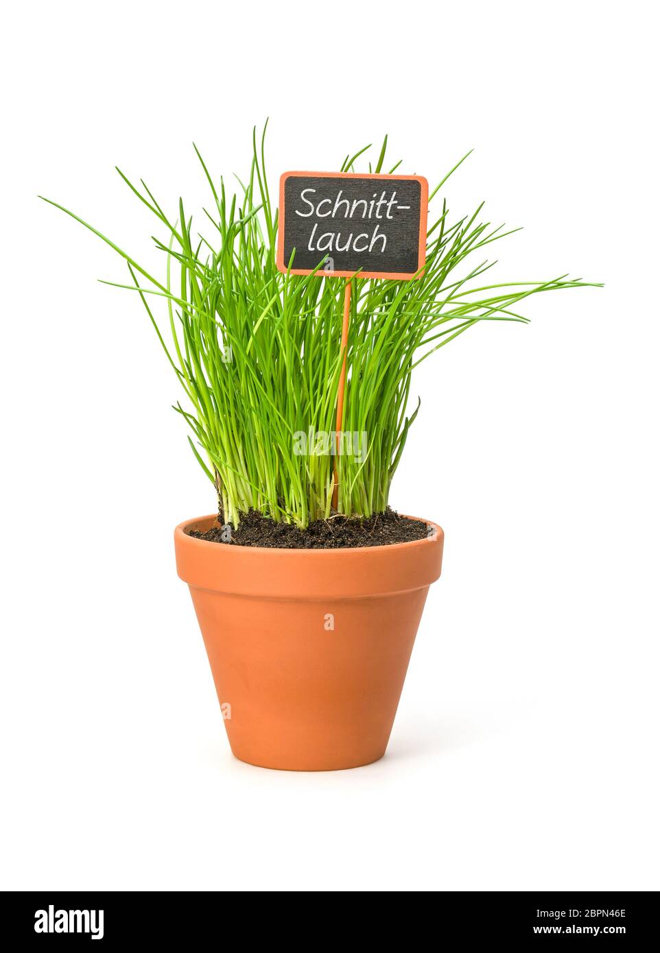 Chives label hi-res stock photography and images - Alamy