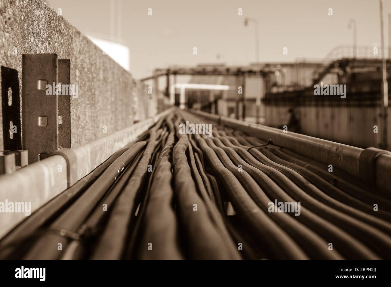 Production wiring.Electrical wiring.Electric wires.Cable wiring ...