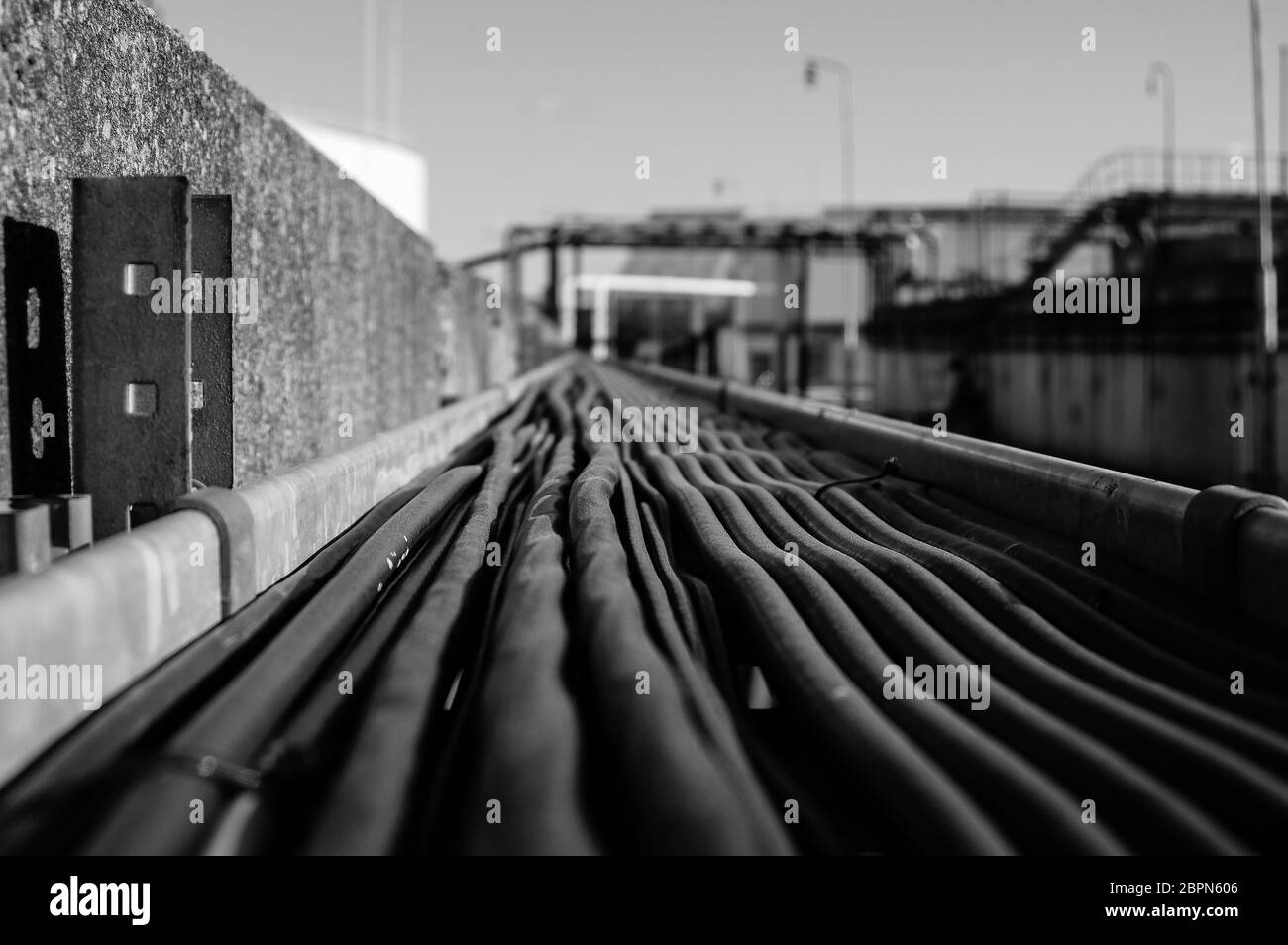 Production wiring.Electrical wiring.Electric wires.Cable wiring ...