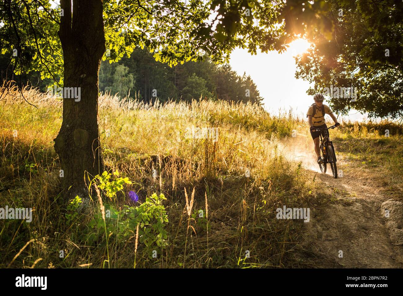 Young biker going fast downhill with dust raising in his wake Stock ...