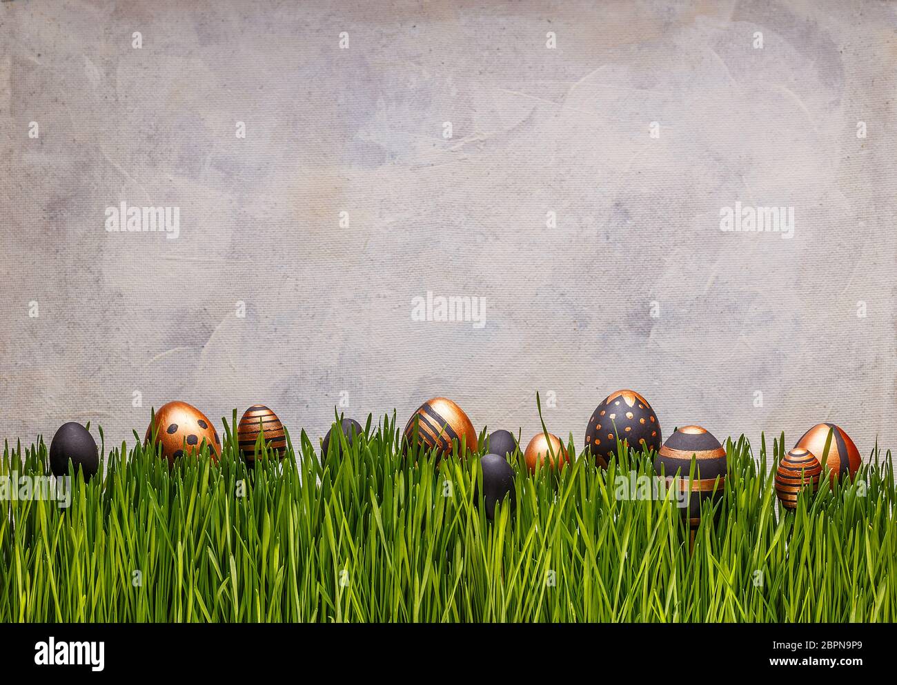 Easter eggs lined up in a row in green grass on white background, copy ...