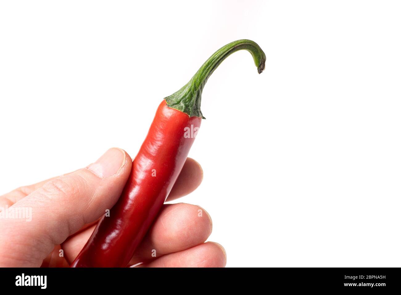 causasian hand holding chili pepper isolated on white background Stock ...