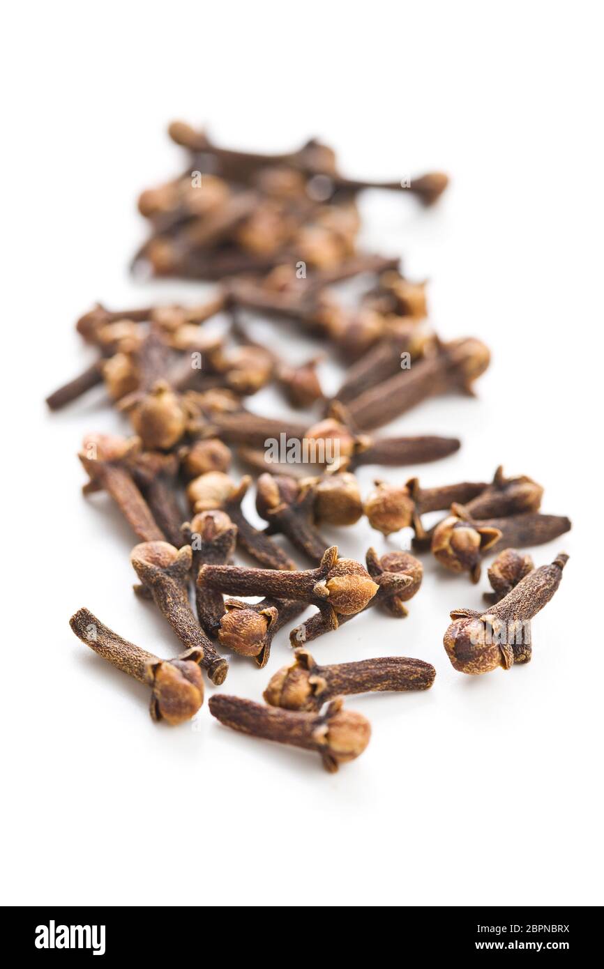 Carnation, dried clove spice isolated on white background Stock Photo ...