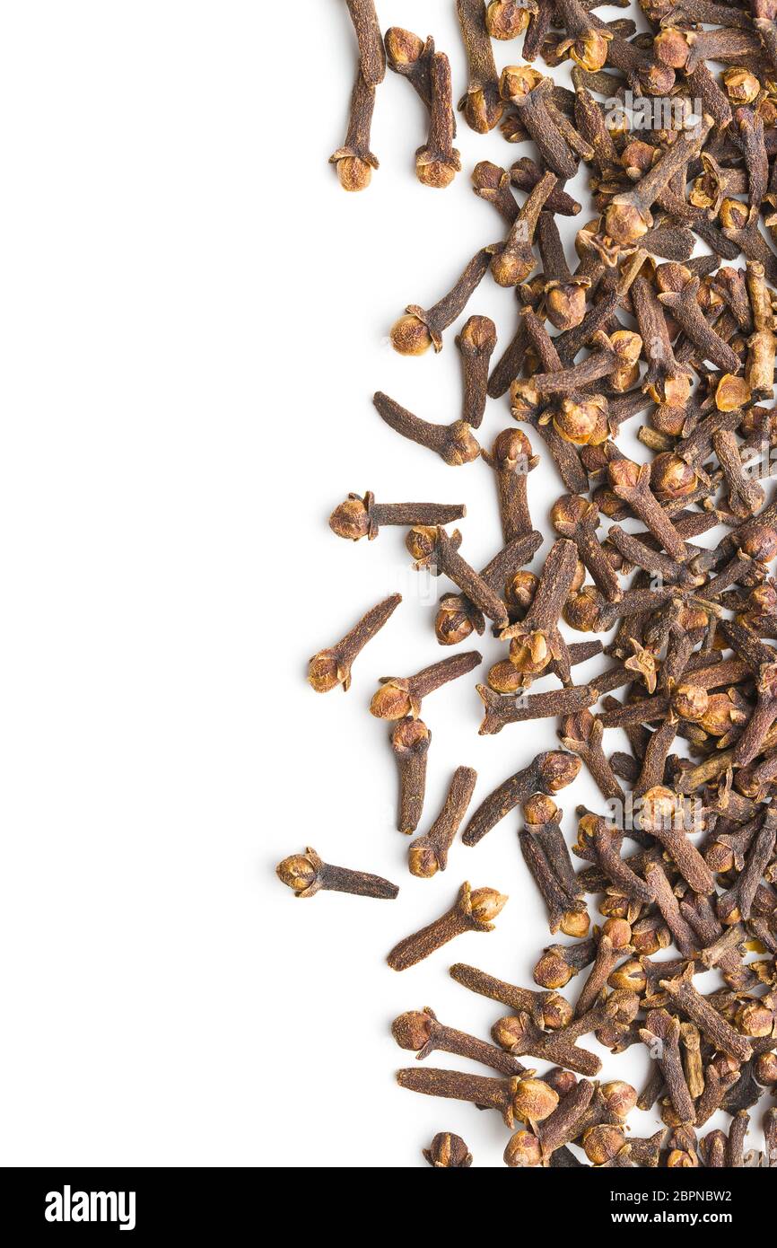 Carnation, dried clove spice isolated on white background Stock Photo ...