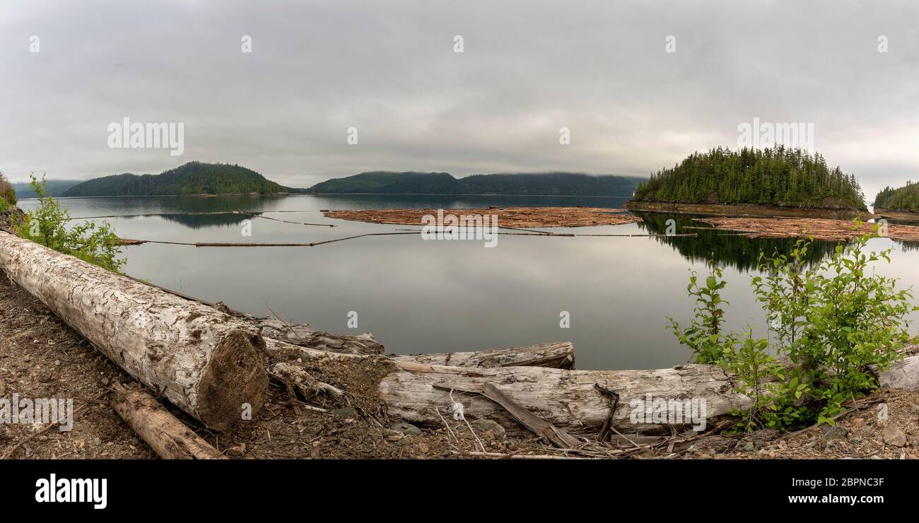 Log sort hi-res stock photography and images - Alamy
