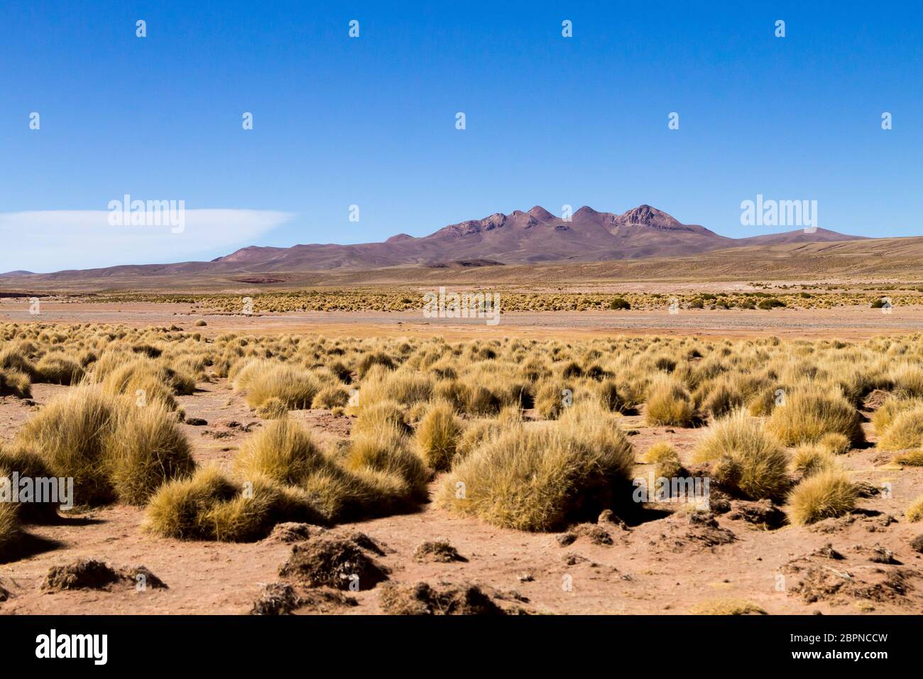 Bolivian mountains landscape,Bolivia.Andean plateau view Stock Photo ...