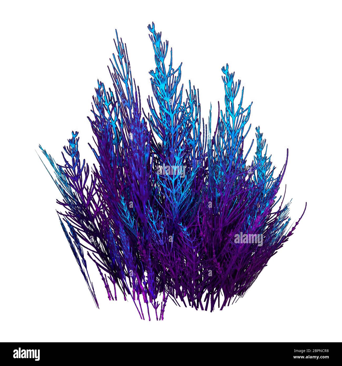 3D rendering of a fantasy alien plant isolated on white background ...