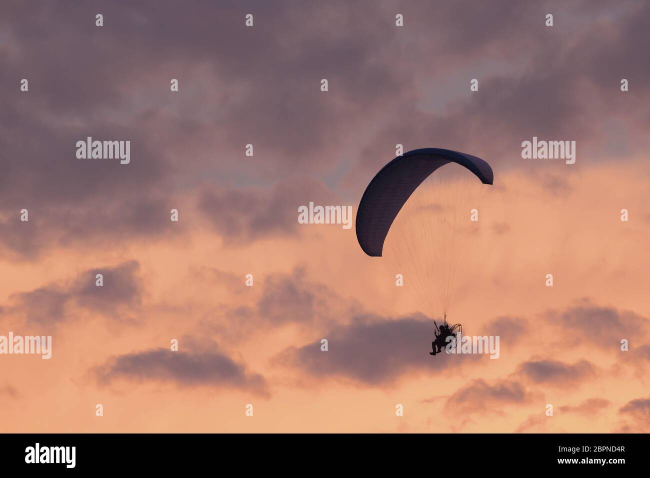 Parachutist falling from the sky in evening sunset dramatic sky ...