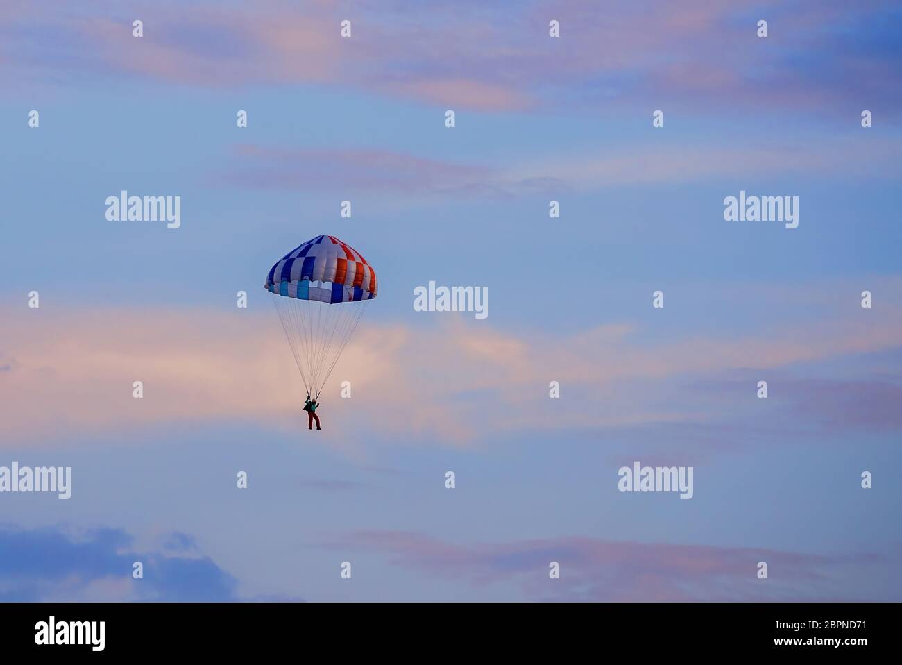 Parachutist falling from the sky in evening sunset dramatic sky ...
