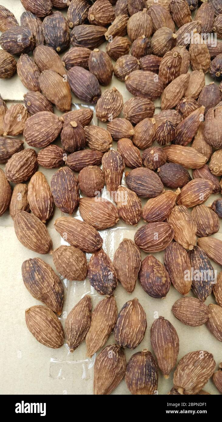 The Black cardamom ( Fructus tsaoko) on a white background Stock Photo ...