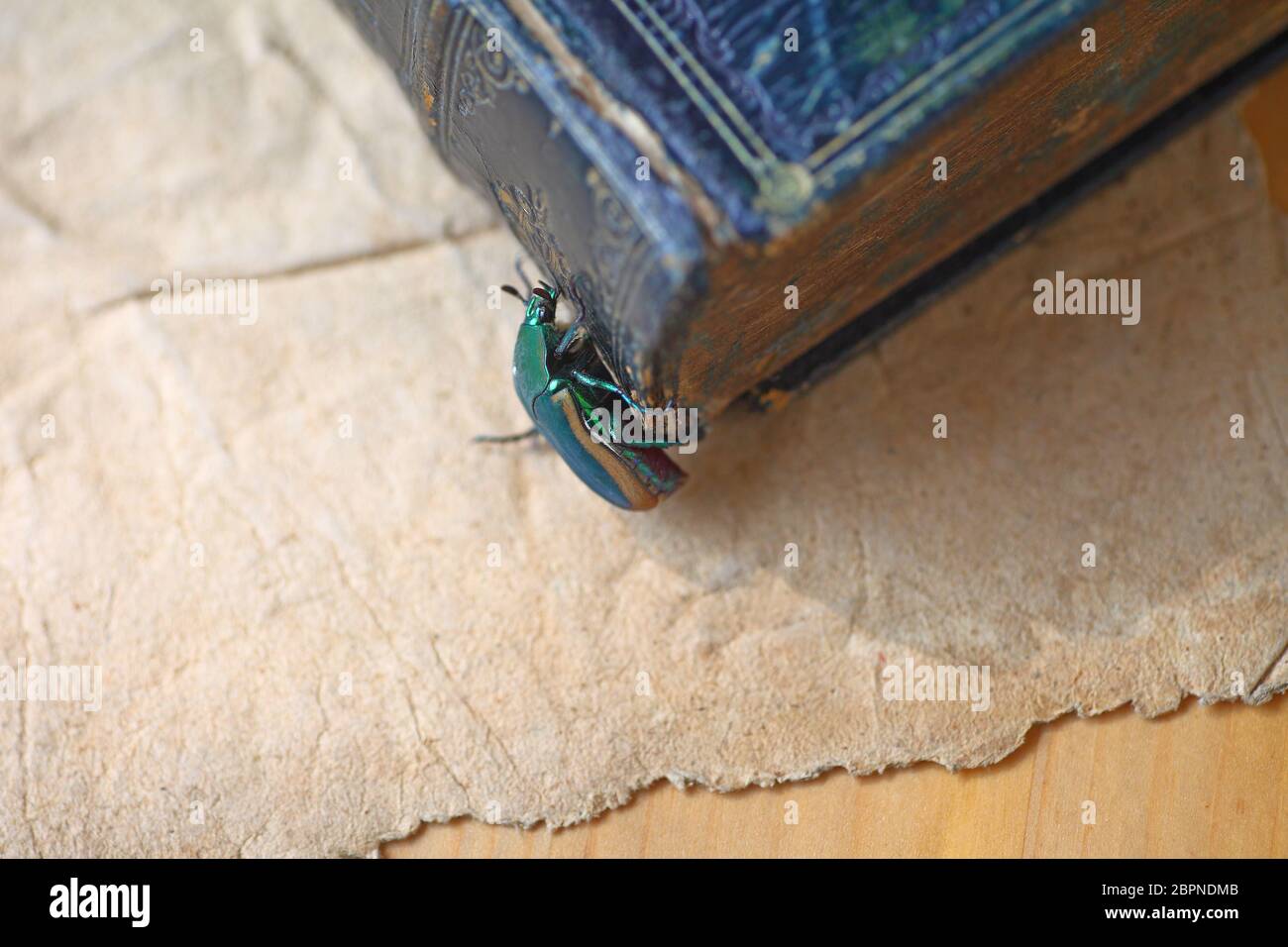 Old book pages textures hi-res stock photography and images - Alamy