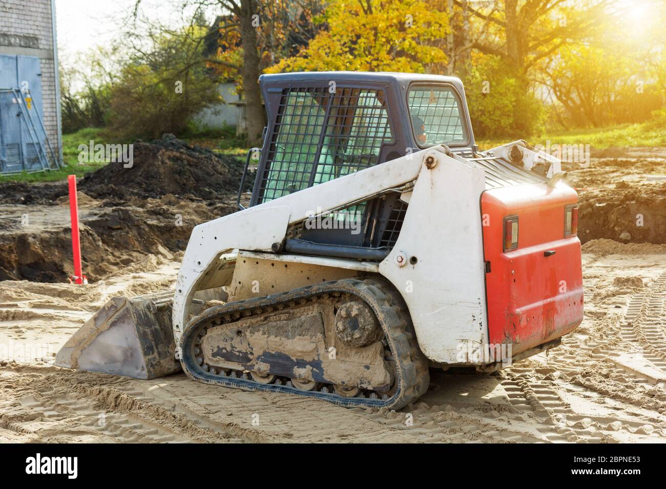 Bobcat standing hi-res stock photography and images - Alamy