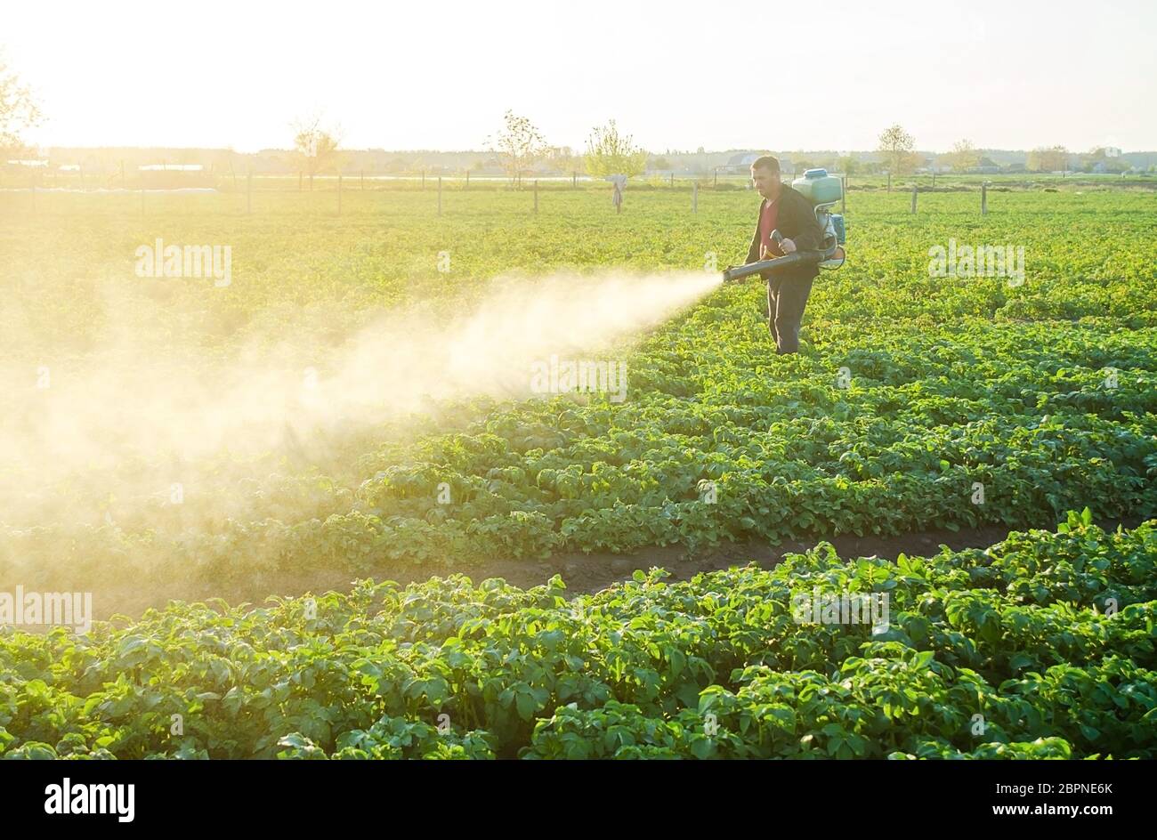 Farmer processing a potato plantation with a sprayer to protect from ...