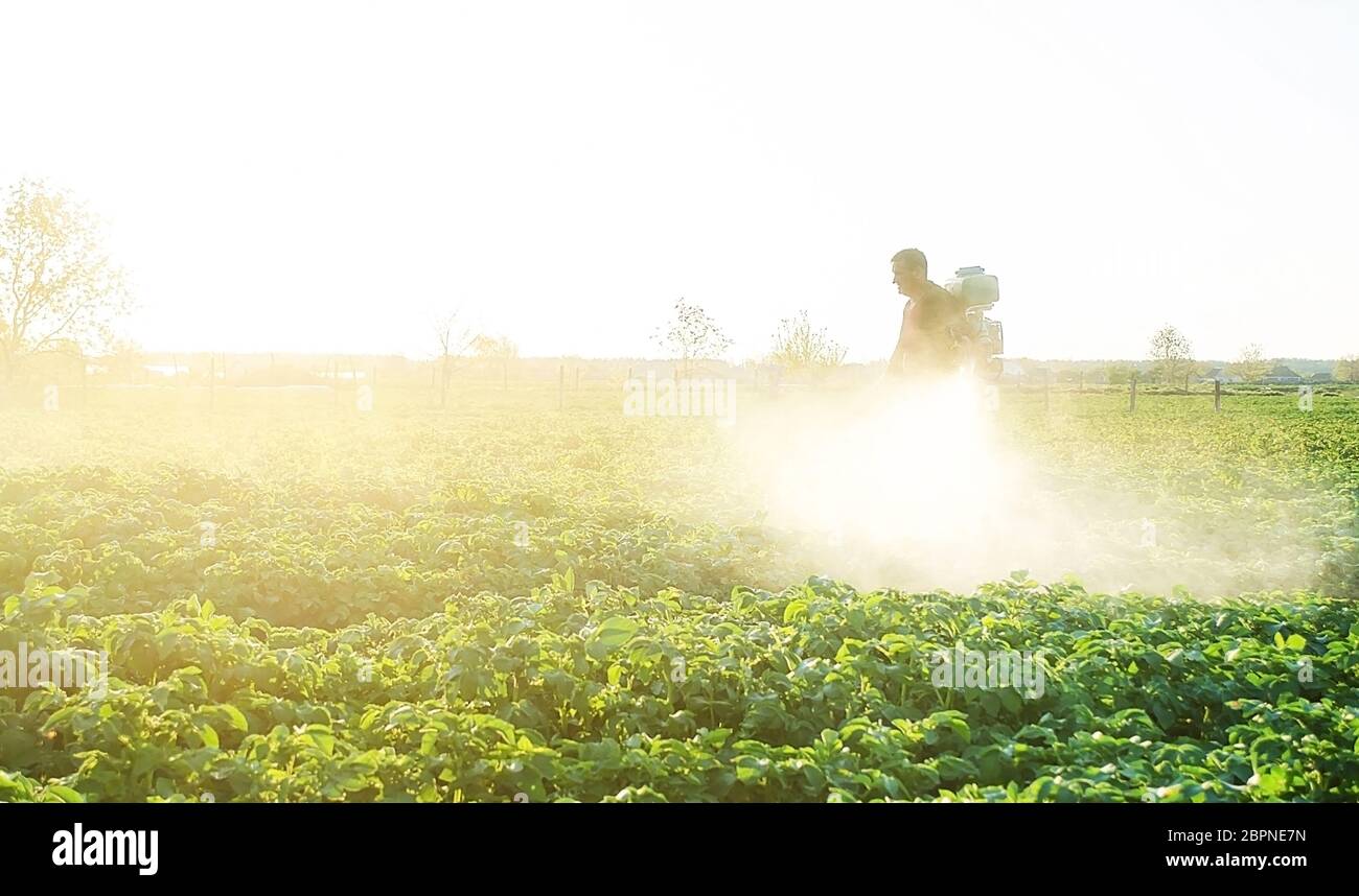 Farmer spraying plants with pesticides in the early morning ...
