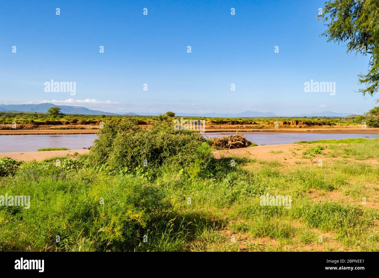 View of the Ewaso Ng'iro River in the savannah of Samburu Park in ...