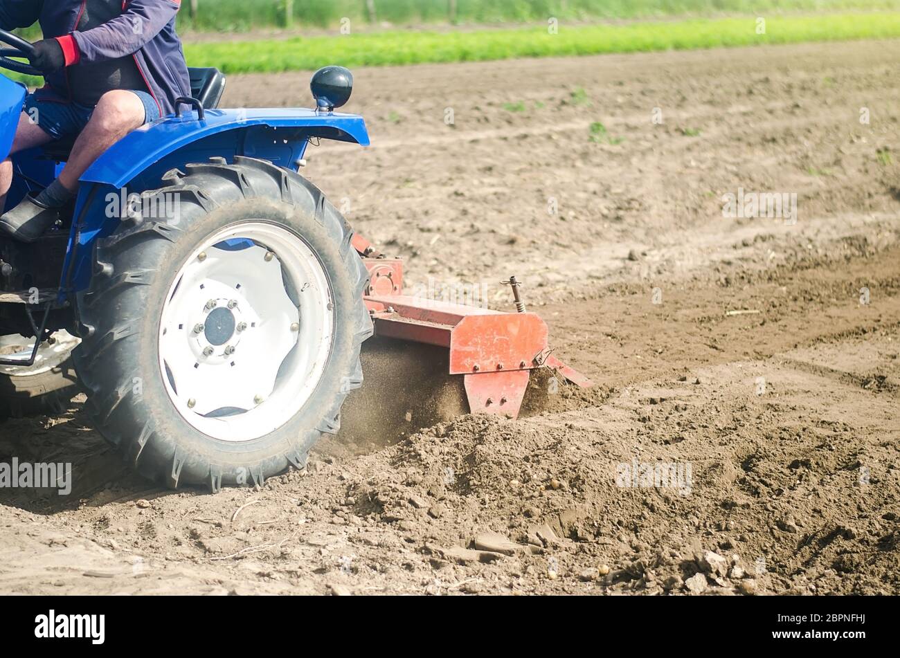 Tractor with milling machine loosens, grinds and mixes soil. Farming ...