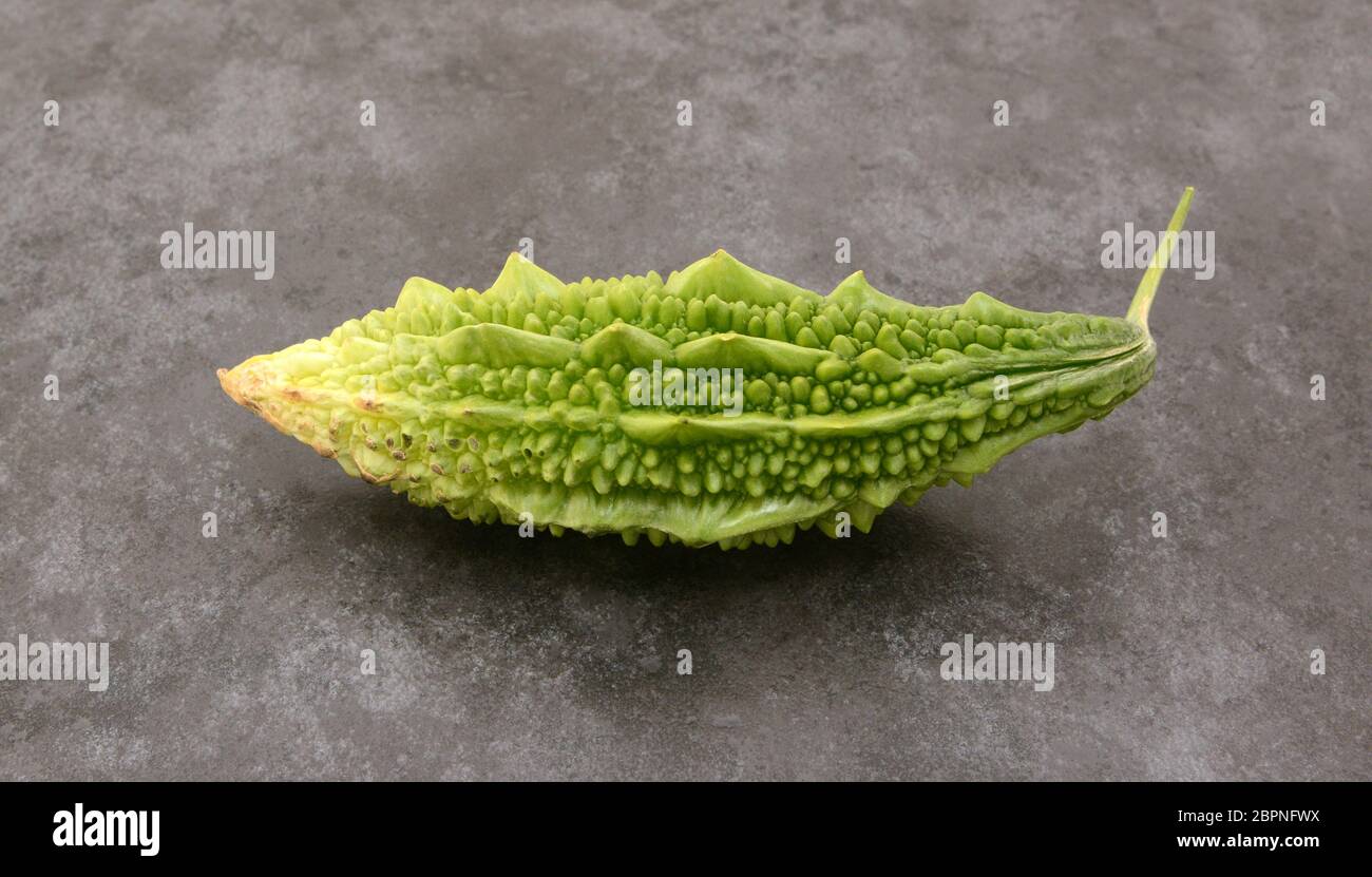 Green ripe bitter melon fruit with warty skin, on a slate grey ...