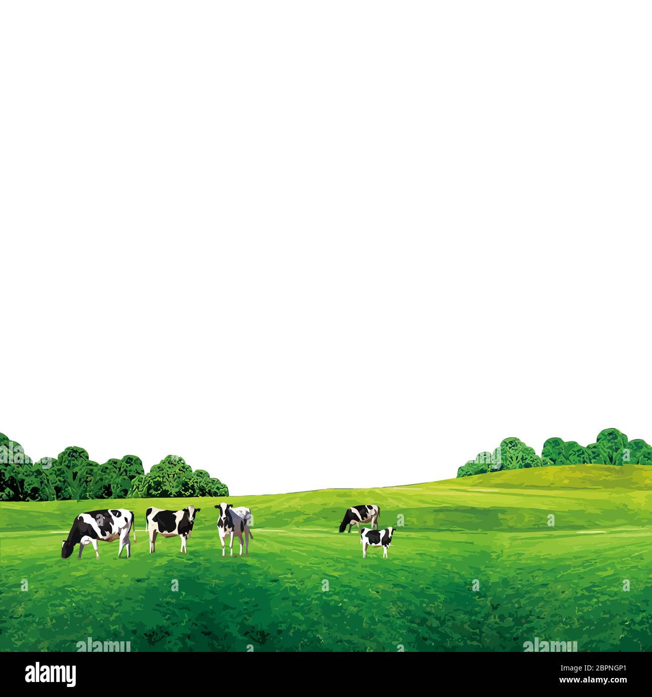 pasture cows farming grass animal illustration Stock Photo - Alamy