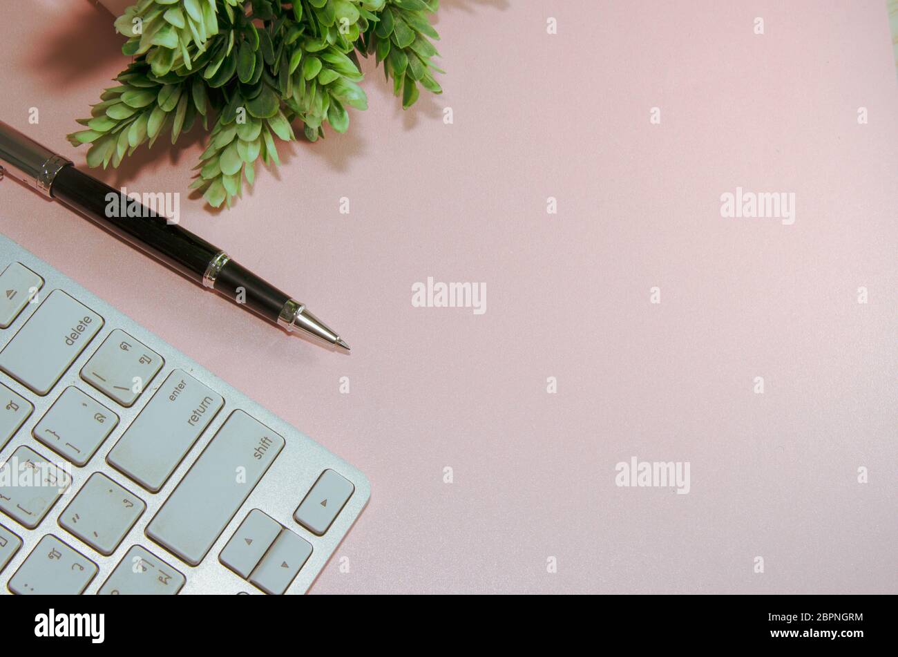 Computer keyboards, pens and flowers on a pink background Stock Photo ...