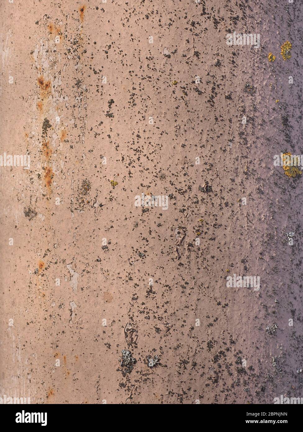 pink metal texture useful as a background Stock Photo - Alamy