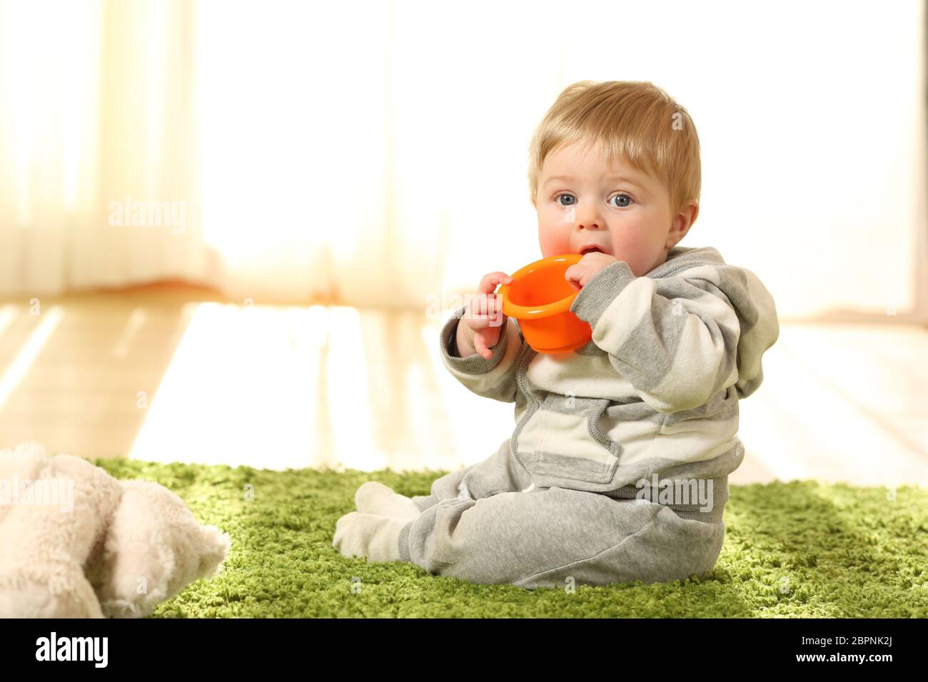 Portrait of a distracted baby biting a toy sitting on the floor at home ...