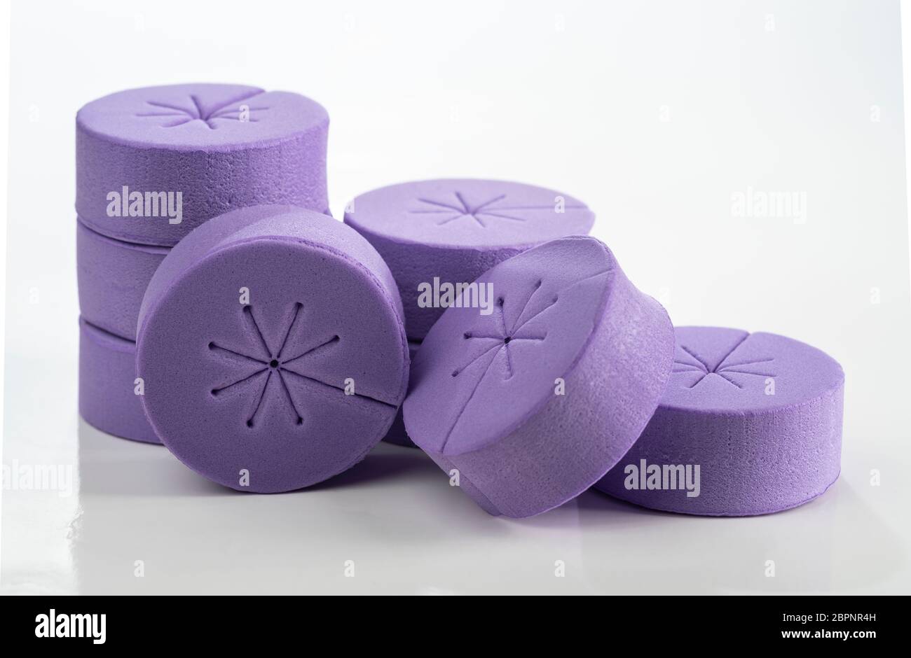 multicolored foam cloning collars for hidroponics and aeroponics Stock ...