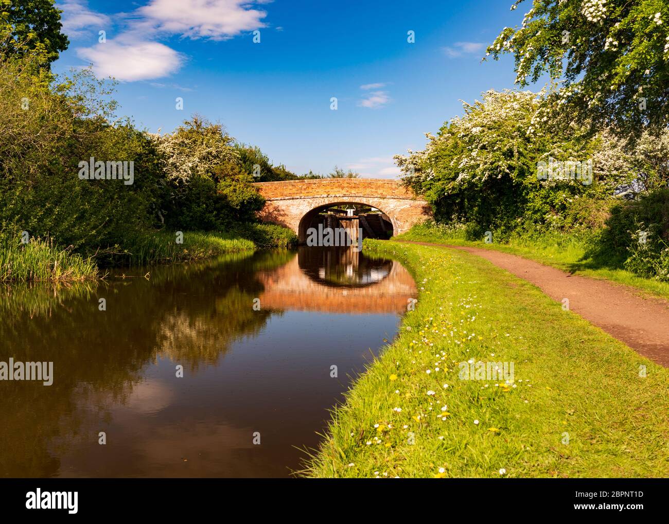 Worcester & Birmingham Canal on a summers day near Tardebigge ...