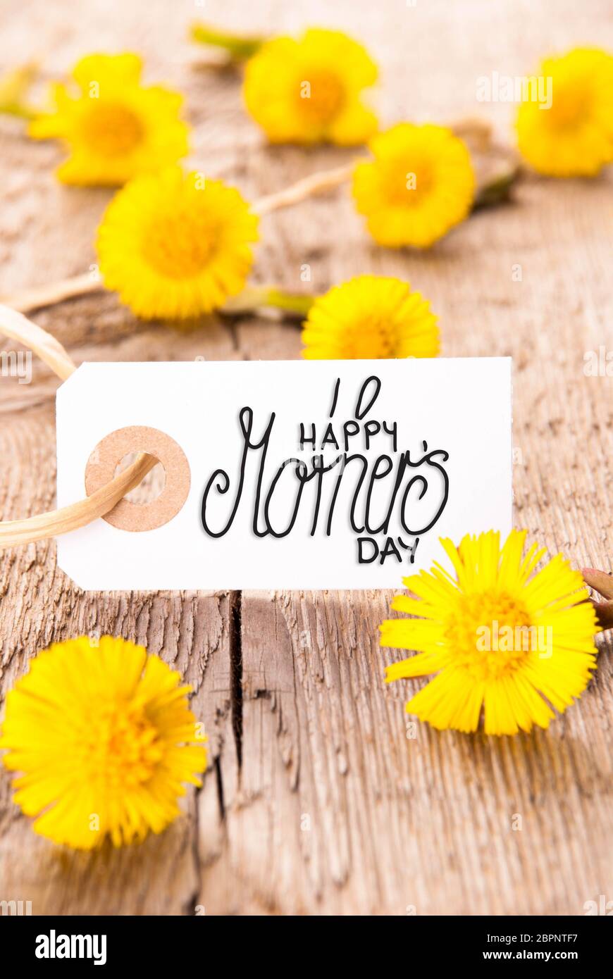 White Label With English Calligraphy Happy Mothers Day. Dandelion ...