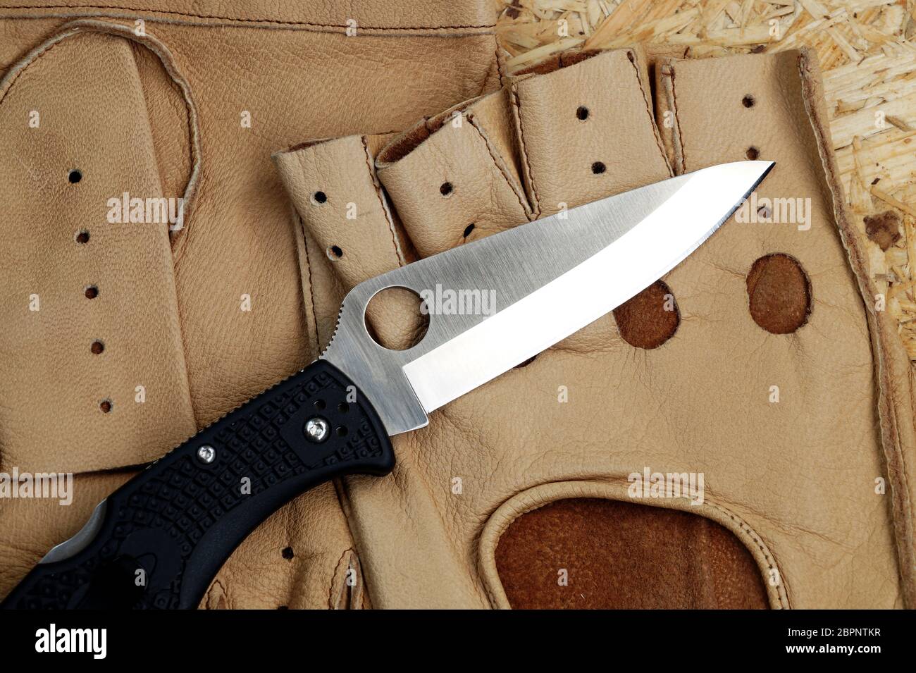 Penknife for the hidden carrying, as a collecting subject Stock Photo ...