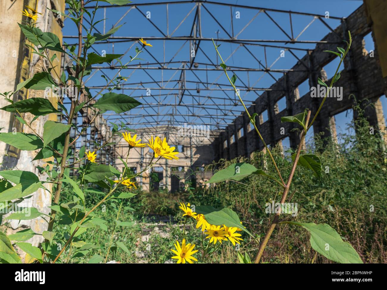 Demolished leave hi-res stock photography and images - Alamy