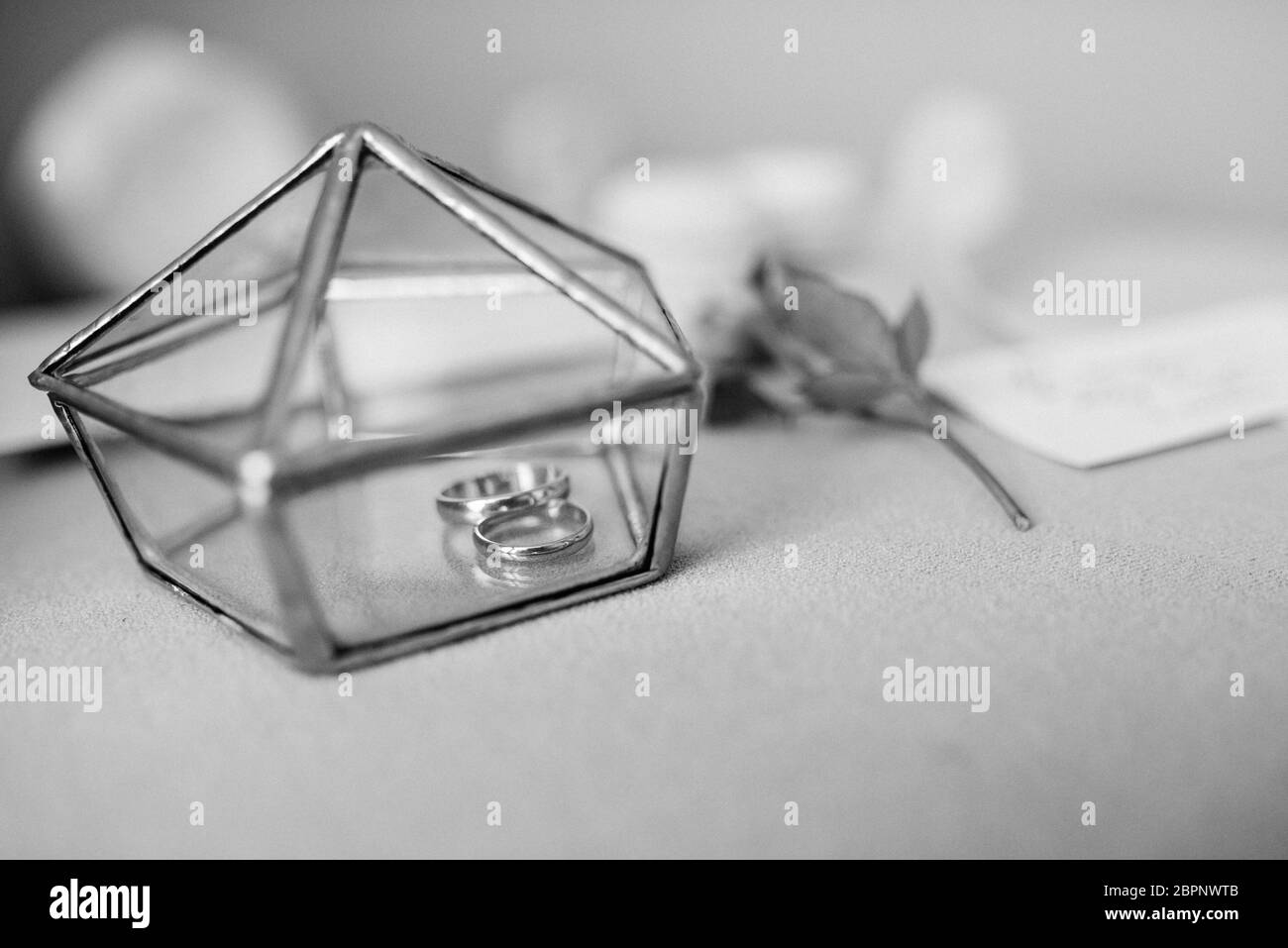 wedding rings with a wedding decor Stock Photo - Alamy