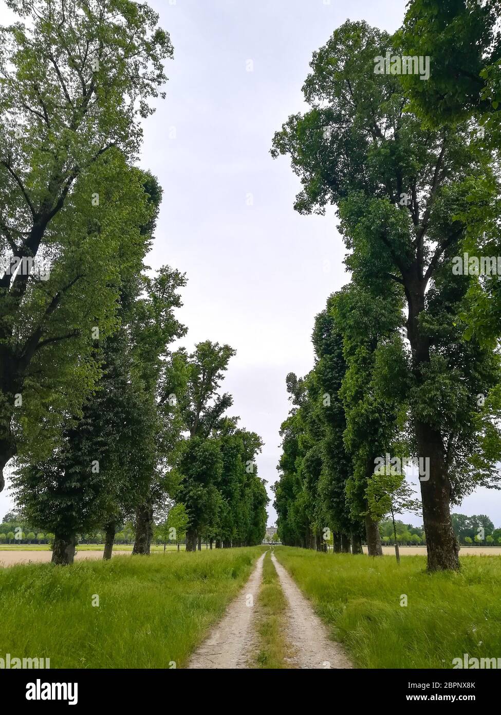 Dirt path through countryside. Rural landscape Stock Photo - Alamy