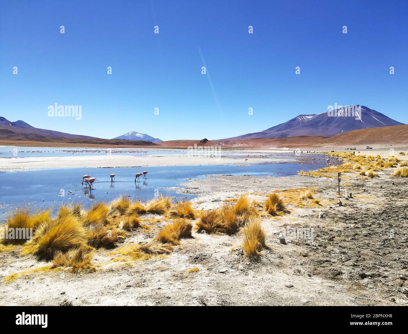 Laguna Hedionda landscape,Bolivia. Beautiful bolivian panorama. Blue ...
