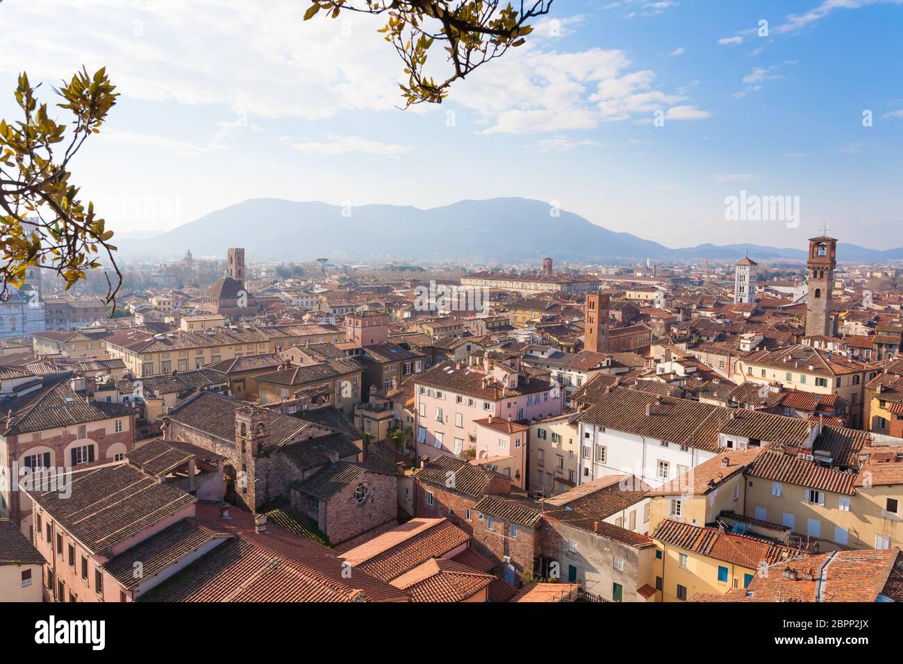Lucca from Guinigi Tower. Italian landmark. Aerial view of Lucca Stock ...