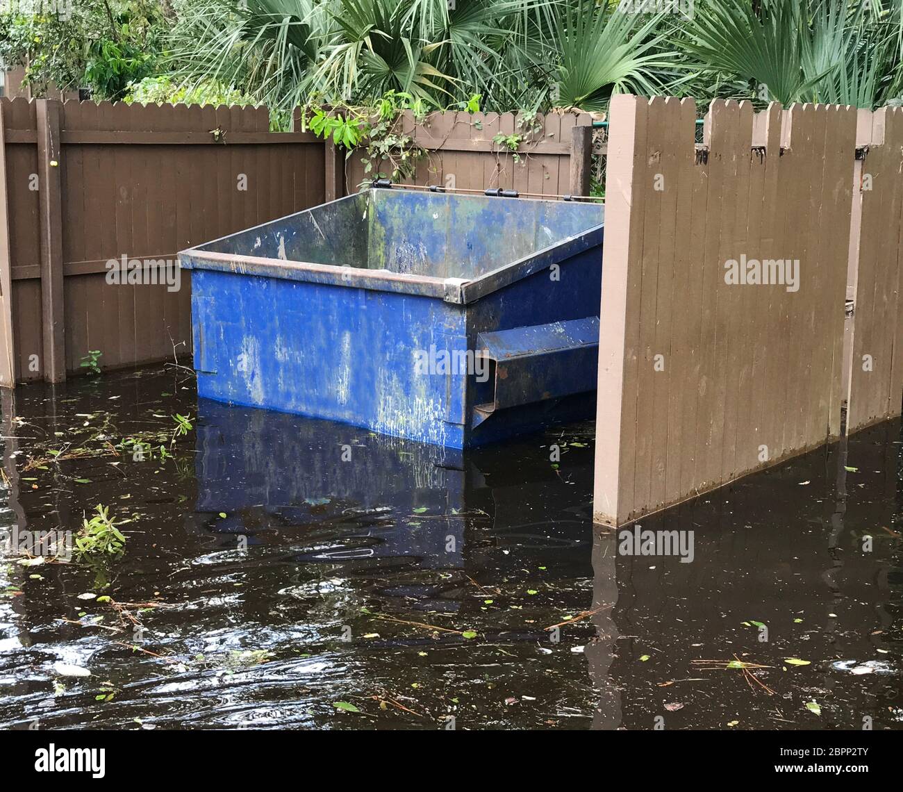 Dumpster enclosure flooded with torrential rain water Stock Photo - Alamy